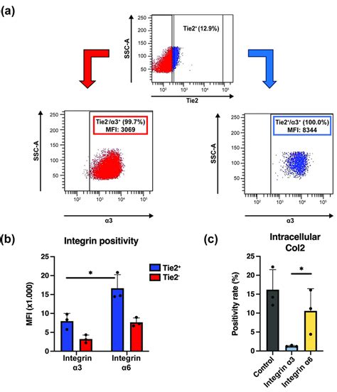 Assessment Of Integrin α3 And α6 Involvement In The Beneficial Download Scientific Diagram