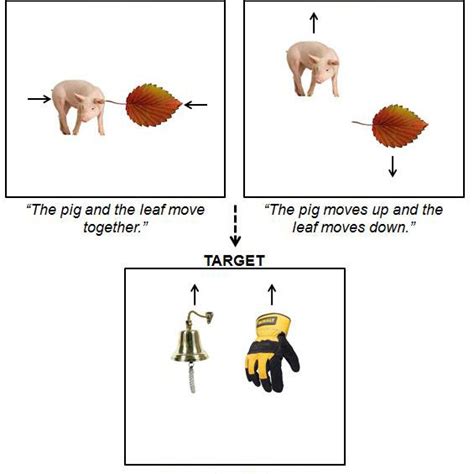 Planning Scope Task Design Download Scientific Diagram
