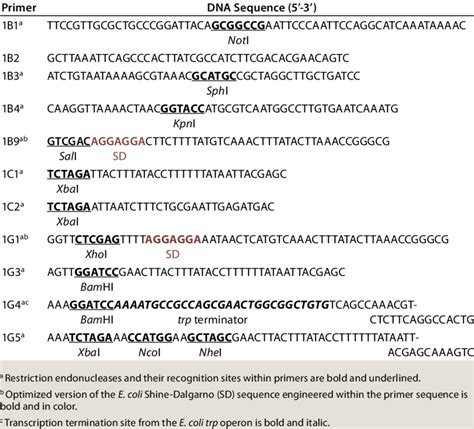 Oligonucleotide Pcr Primers Download Table
