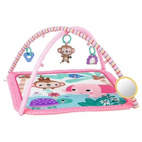 Bright Starts Bright Starts Value Activity Gym Pink