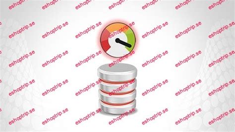 Oracle Database Performance Tuning Eshoptrip