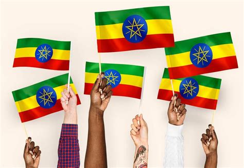 Improving Amharic Question Answering With Fine Tuning In Nlp Local