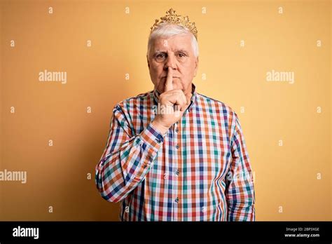 Senior Handsome Hoary Man Wearing Golden Crown Of King Over Isolated