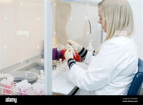 Sperm Bank Laboratory Worker Pipetting A Sperm Sample The Sperm Is Liquified Filtered And