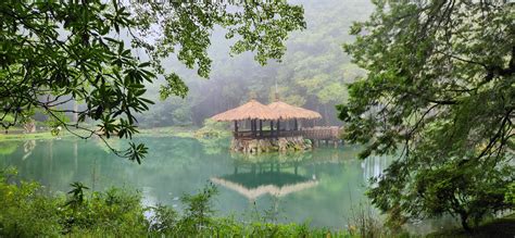 阿里山國家森林遊樂區國家級星河饗宴 農業知識入口網