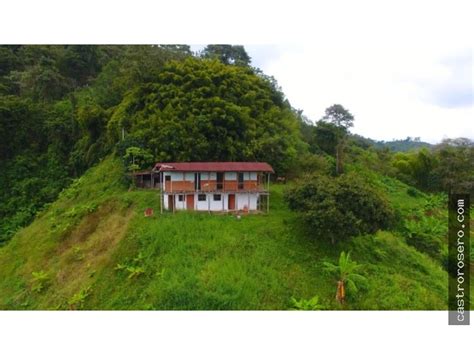 VENTA FINCA VEREDA TABOR SAN PEREGRINO FINCA EN MANIZALES 260 000