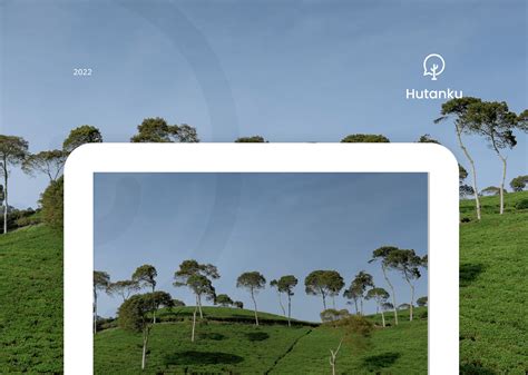 UX Case Study Forest Management Dashboard On Behance
