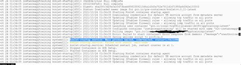 Docker Why Is My Container Not Starting On Google Compute Engine Vm