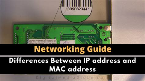 What Are The Differences Between Ip Address And Mac Address How Do Ip Addresses And Mac