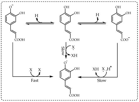 How To Calculate Dpph Assay At Frances Chavez Blog