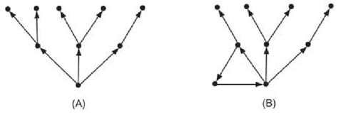 a rooted tree b acyclic graph download scientific diagram