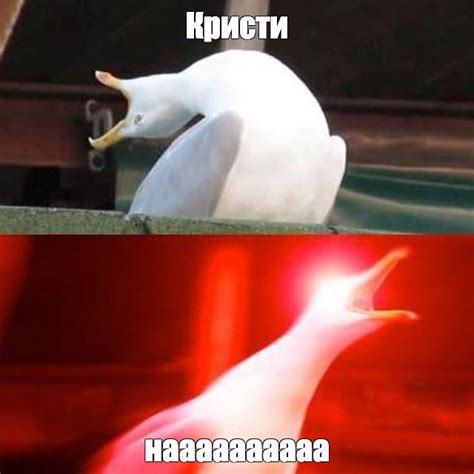Создать мем мем глубокий вдох кричащая чайка мем чайка Картинки