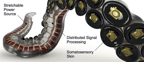 Journal Club Stretchy Electronics For Soft Robotics IMechanica
