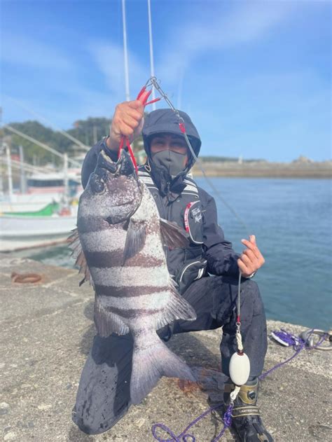 4月5日火 和歌山 串本 出雲崎 谷口渡船 磯釣り 船 釣り カセ釣り グレ 石鯛 メジロ ブリ キハダマグ ロ イワシフカセ アカイカ