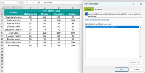 Share An Excel Workbook How To Handle Changes Accept Reject