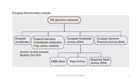 biological data retr bioinformatics pptx