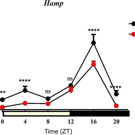 Quantitative Expression Levels Of The Hamp Gene In Mouse Liver Tissue