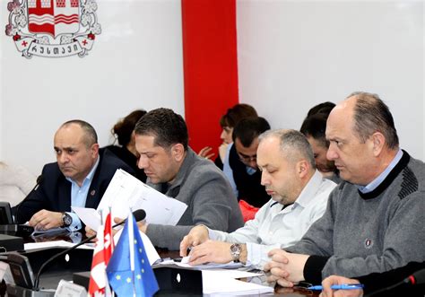 რუსთავის მუნიციპალიტეტის საკრებულო Rustavi Municipality City Council