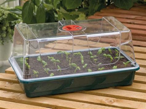 Propagators For Propagating Vegetable Seeds