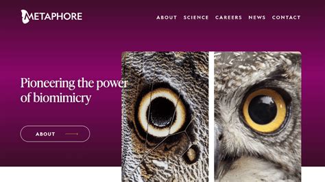 Metaphore Biotechnologies Raises 50m Citybiz