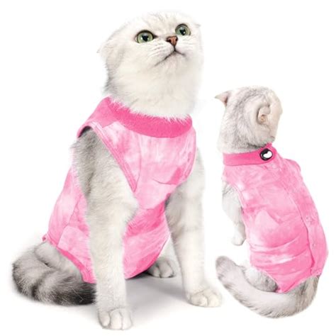 Lll Katzenbody Nach Op Schnurrparadiesde