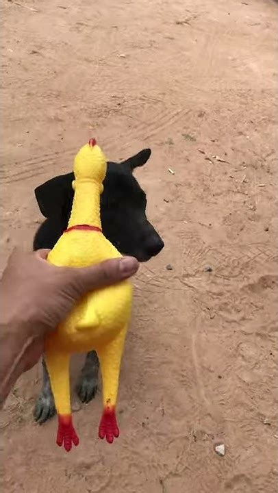 เพื่อนของฉัน ไอ้แตงโมง Youtube