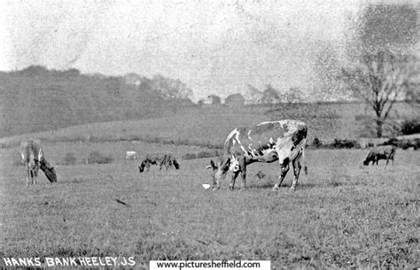 Print Details Picture Sheffield