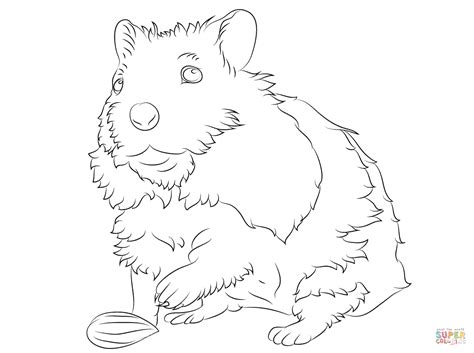 Grumpy Dwarf Drawing At Explore Collection Of