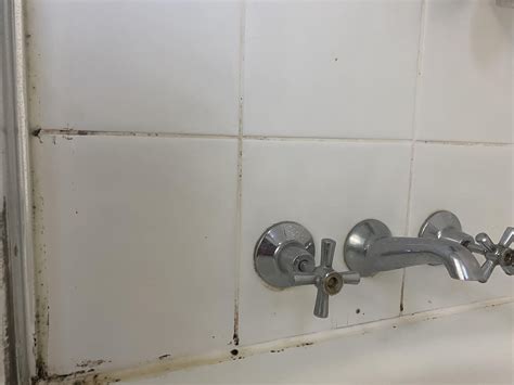 Stubborn Shower Mould R Cleaningtips