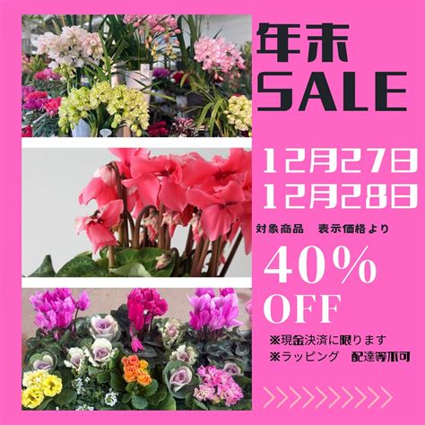 陽春園 歳末セールのご案内 営業時間は歳末セールの期間中 900~1800とさせていただきます。 以下の日程で3日間、シクラメンや
