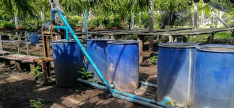 Techniques For Effective Compost Decomposition Harnessing ESR Principles For Long Term Success