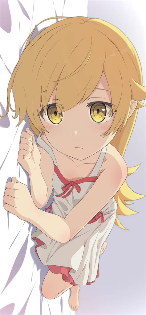 Oshino Shinobu Monogatari Drawn By Camui Danbooru