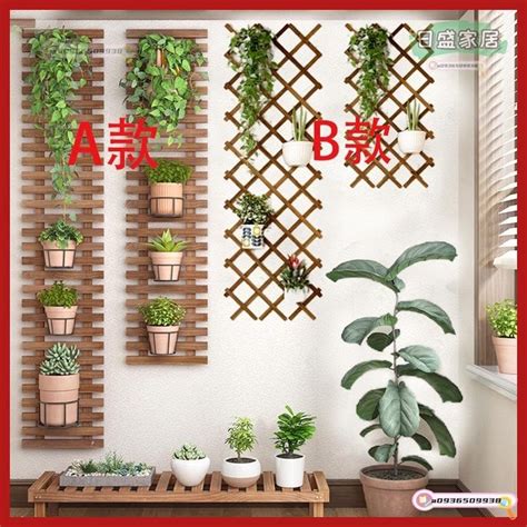 【日盛家居】實木陽臺花盆掛架懸掛牆上吊蘭花架爬藤架壁掛植物架花架園藝花盆架花盆花器植物盆栽植物架（不含盆栽） 蝦皮購物