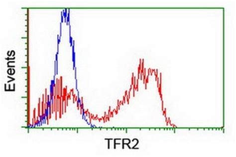 Tfr2 Mouse Anti Human Mouse Clone Oti1b1 Liquid Truemab™ 100 μl