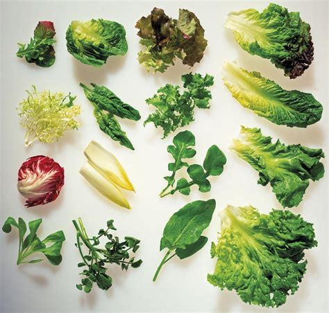 Nombres De Verduras Verdes Glosario Verduras Frutas Tubérculos Y