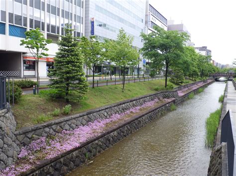 タイム0523 2 創成川公園