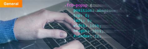 Developers Guide For Establishing Adhering To Coding Standards