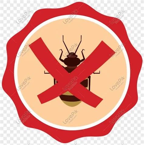 Bed Bugs Control Services At ₹ 6sq Ft In Mumbai Id 2851969832712