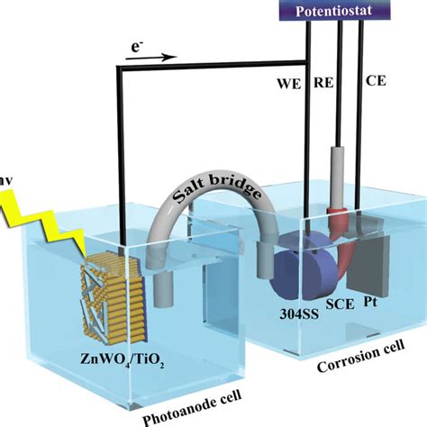 Illustration Of The Double Electrolytic Cell Setup For Download Scientific Diagram