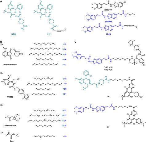 Full Sqs Degrader Library A Structure Of Sqs Ligands Used To Design Download Scientific