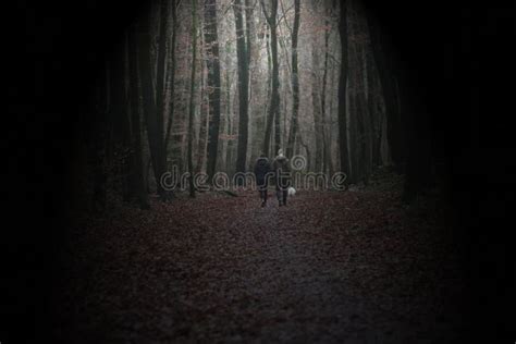 Couple Walking In A Dark Forest Stock Image Image Of Nature Fashion
