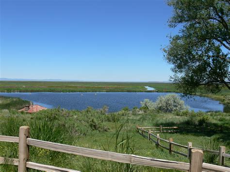 Malheur Migratory Bird Refuge Harney County Oregon American Guide