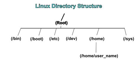 A Comprehensive Guide To Linux Directory Structure