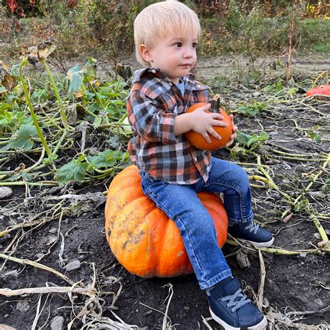 Nicholas Cronin Youtube