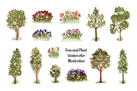 Watercolor Tree Plan Vector Art Icons And Graphics For Free Download