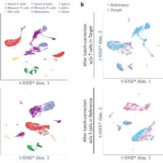 Batch Correction Of Human PBMC Data Using Mutual Nearest Neighbors The