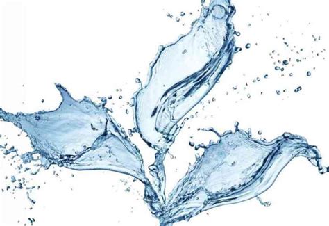 Water Is Very Important For Us Water Is The Basic Condition For Survival Of Human Being Every