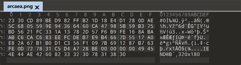 Ctf Misc Cierrarunnis