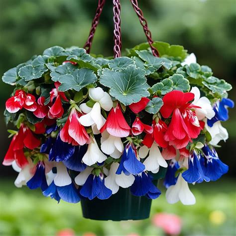 Weeping Begonia A Captivating Botanical Wonder