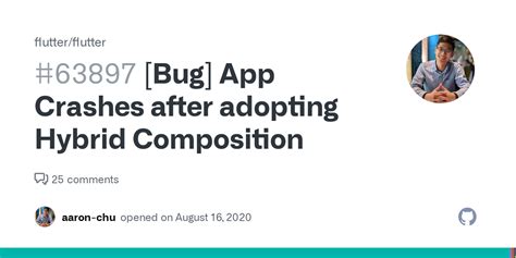 Bug App Crashes After Adopting Hybrid Composition · Issue 63897 · Flutterflutter · Github